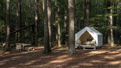 Rent a Cabin near Homochitto National Forest | Mississippi Glamping