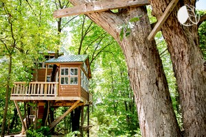 Treehouses in the Midwest
