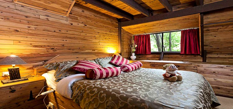 The Mouse House Rainforest Retreat, Cabins 26992, Springbrook ...