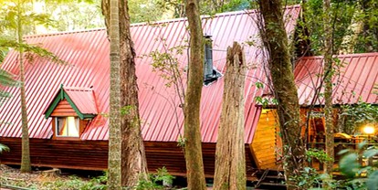 The Mouse House Rainforest Retreat, Cabins 27008, Springbrook ...