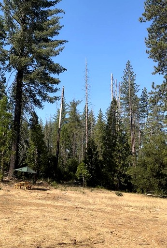 Tiny Blue House at Yosemite gateway | Groveland, California | Glamping Hub