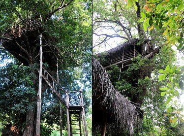 Back of Beyond - Dehigaha Ela, Tree Houses 14726, Sigiriya, Sri Lanka ...
