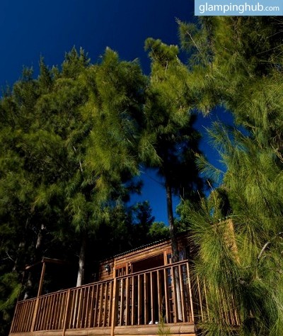 Luxury Treehouse in South Africa | Spa Retreat in South Africa