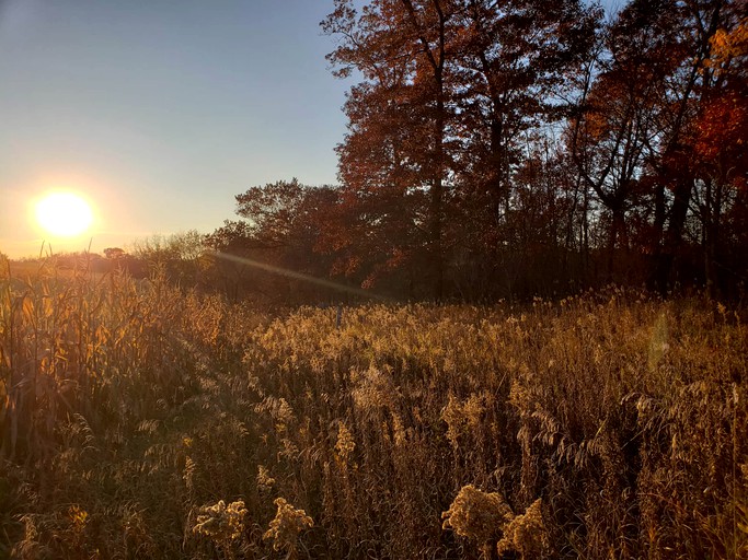 Treehouse Cabin in the Bluff Woodlands, Tree Houses, Elba, United ...