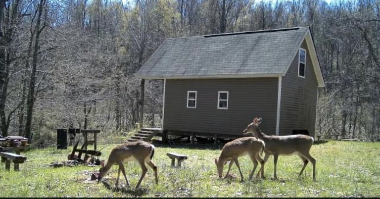 Walnut Falls Escape Cabin | Rome Township, West Virginia | Glamping Hub