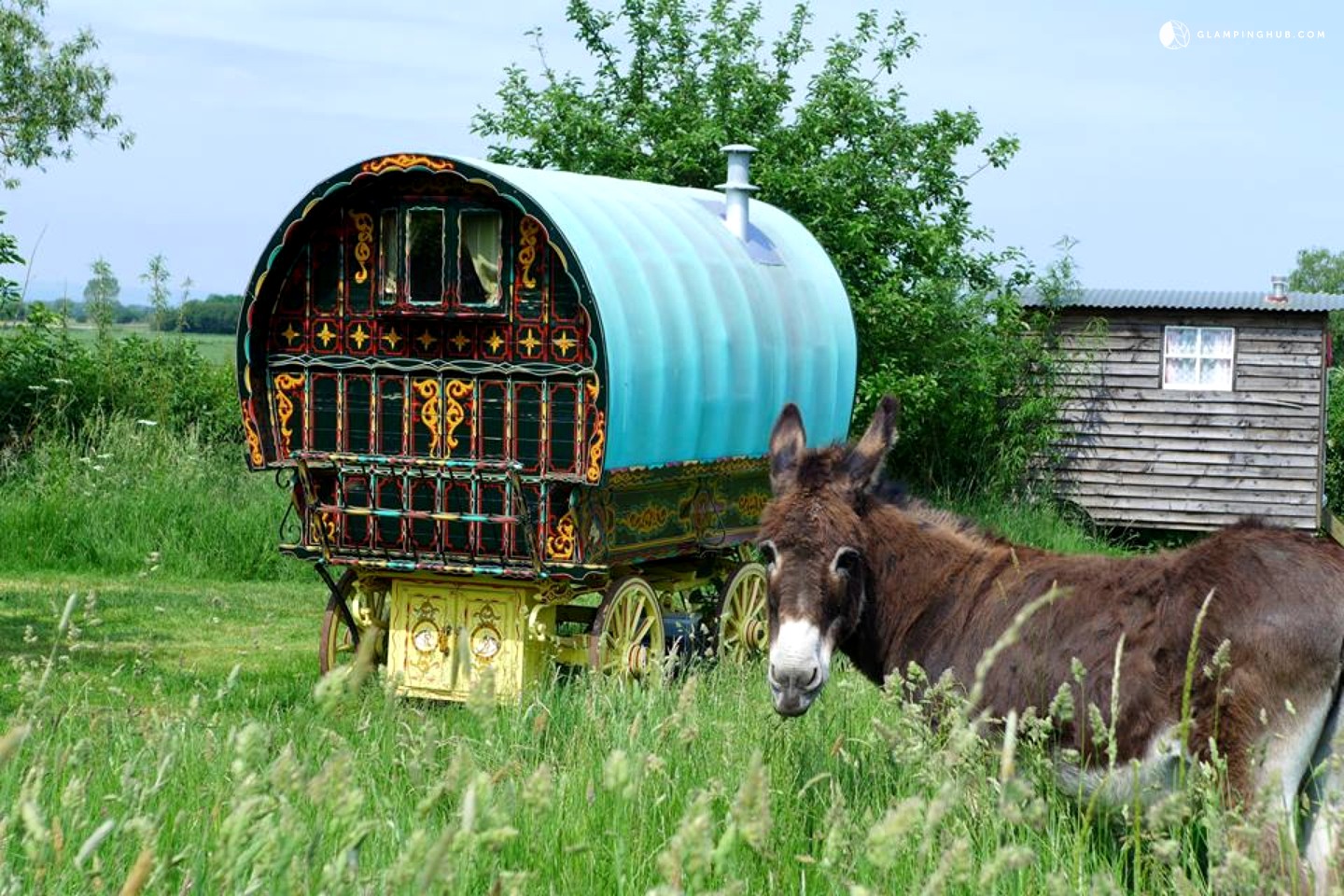 Gypsy Caravan Rentals in UK | Glamping in the UK