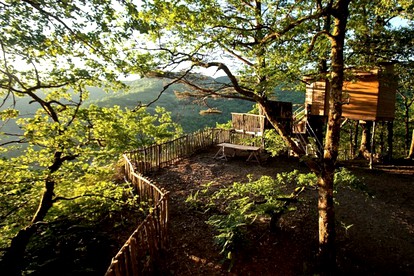 Luxury Tree House Rentals | Book the Best Tree House Getaways