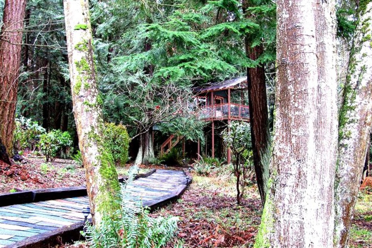 Tree House Getaways | glampinghub.com