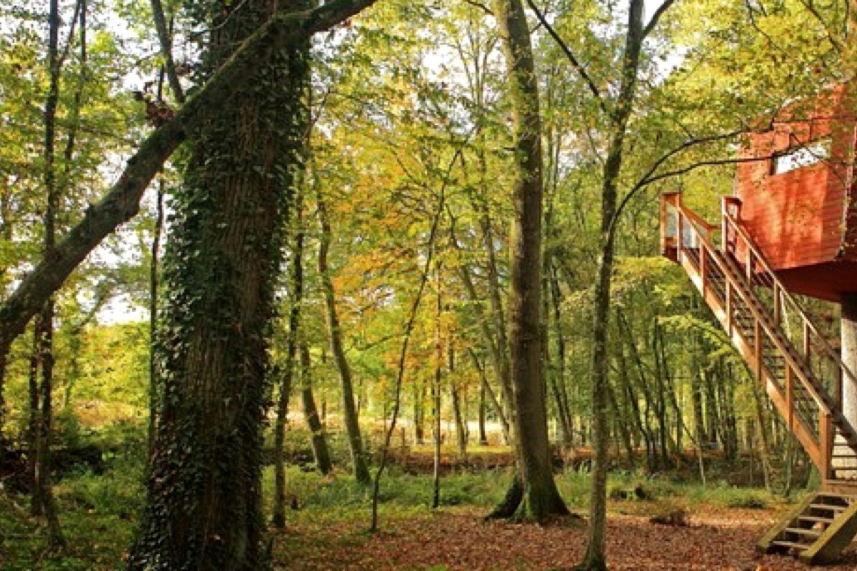 Tree House Getaways | glampinghub.com