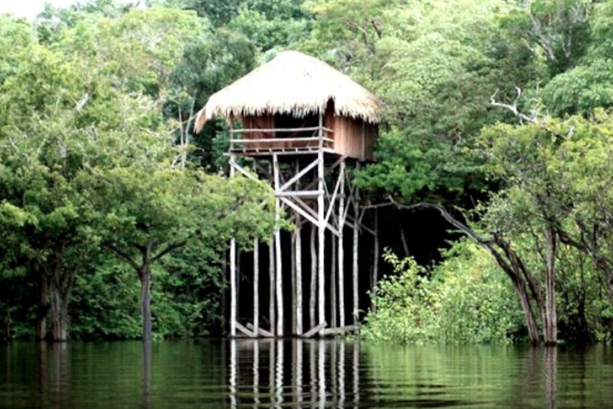 Tree House Getaways | glampinghub.com